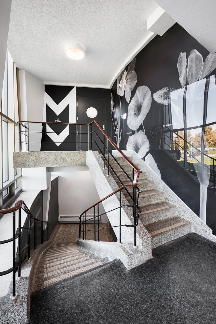 Cafétéria Marie-Victorin - Design au carré